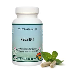 Evergreen Herbal ENT 100 Capsules - Acupuncture Plus